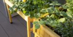 Home Use | Takasho